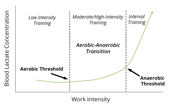 ตรวจ Lactate Test หา Zone การซ้อม - Avarin: Running and Triathlon.