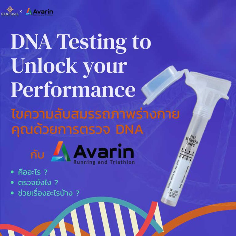 ตรวจ Lactate Test หา Zone การซ้อม - Avarin: Running and Triathlon.