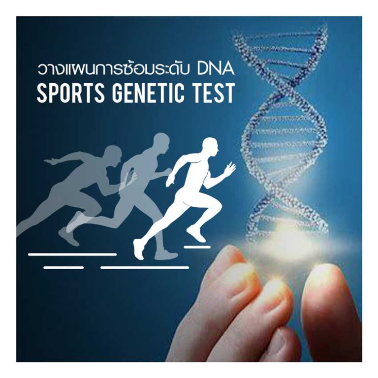 Sport Genetic Test การตรวจ DNA สำหรับนักกีฬา- Avarin Running X Genfosis