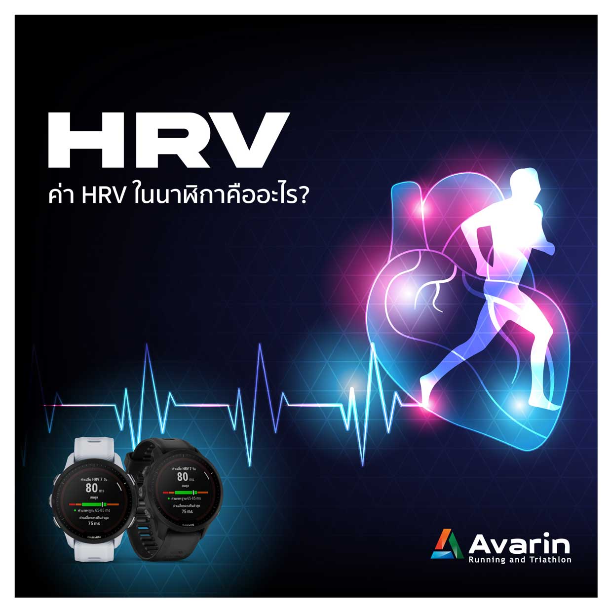 ค่า HRV ในนาฬิกาคืออะไร - Avarin: Running and Triathlon.