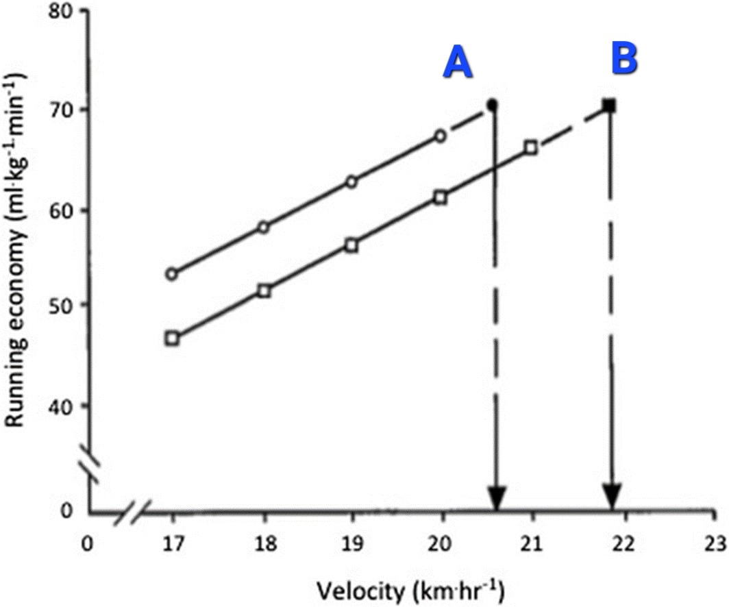 Running economy วิ่งประหยัดพลังงาน หัวใจของการวิ่งมาราธอน - Avarin ...